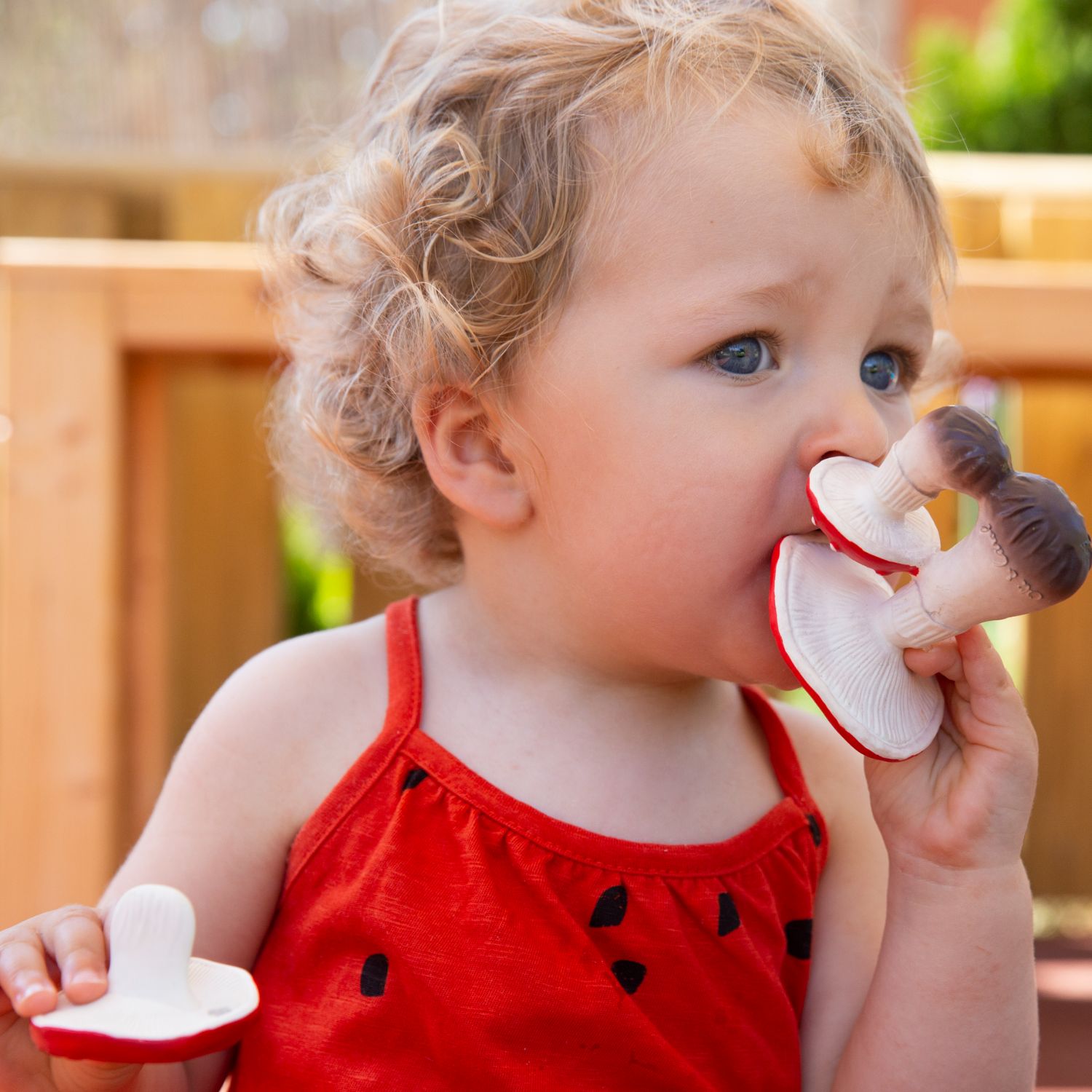 Spot The Mushroom Natural Rubber Teether – Sohii India